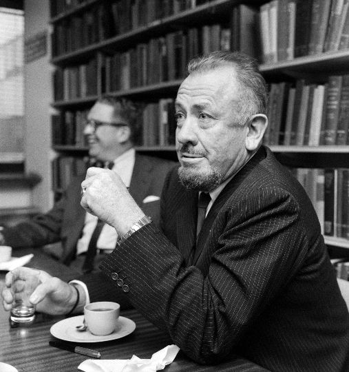 John Steinbeck And The Mystery Of The Humboldt Squid