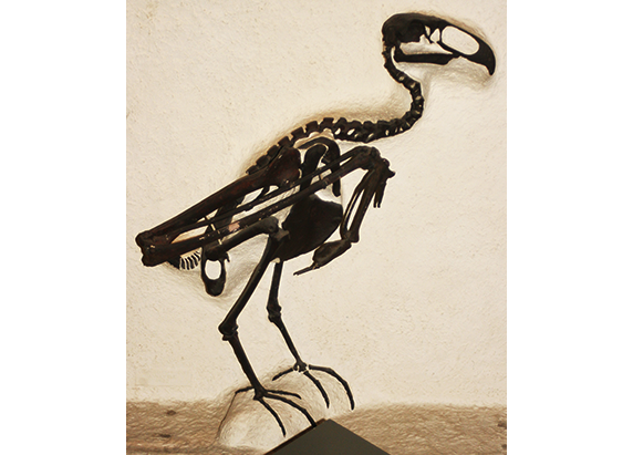 Bring The La Brea Tar Pits To Your Backyard