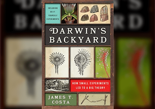 Recreate Darwin's Experiments In Your Backyard
