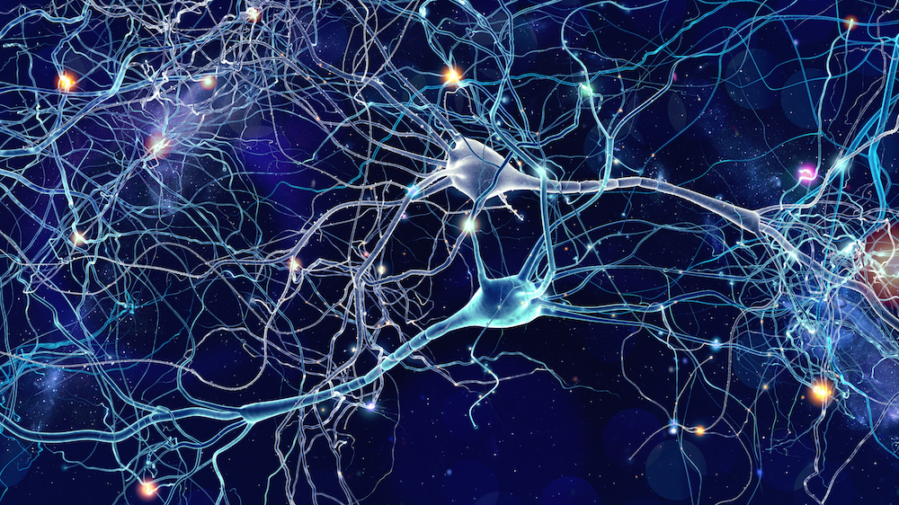 Science Goes To The Movies: 'Rememory'