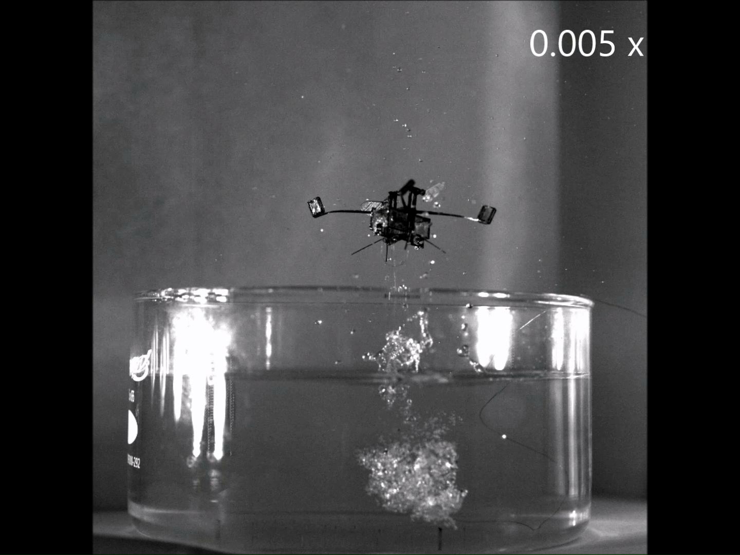 Meet The Insect Bot That Uses Water To Fly