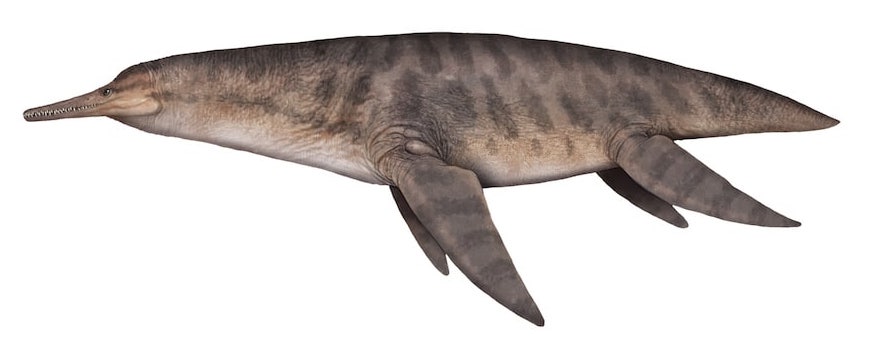 A Paleoartist Envisions of Ancient Creatures