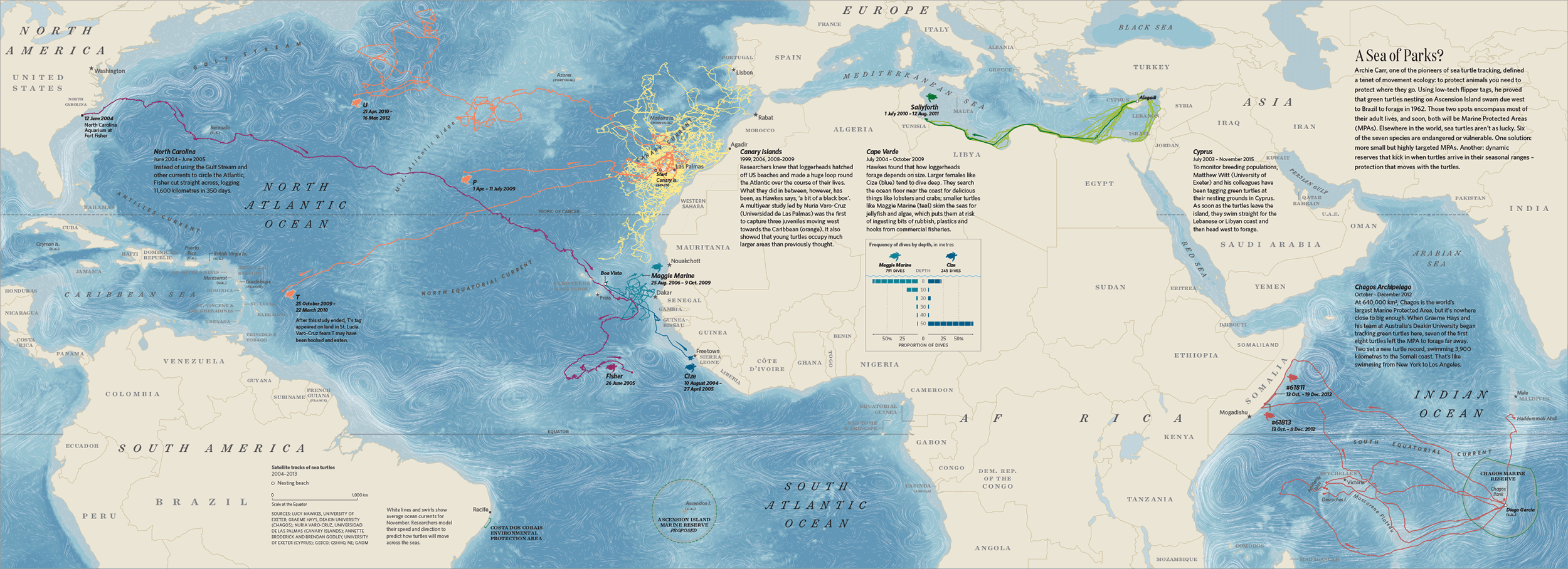Mapping The Journey Of Marine Animal Migrations