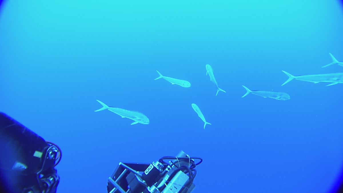 A Deep Ocean Dive Is Training NASA For Space