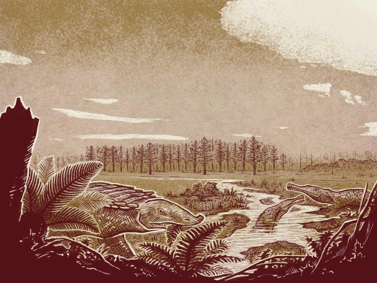 The Cold Case Of The Triassic Phytosaurs