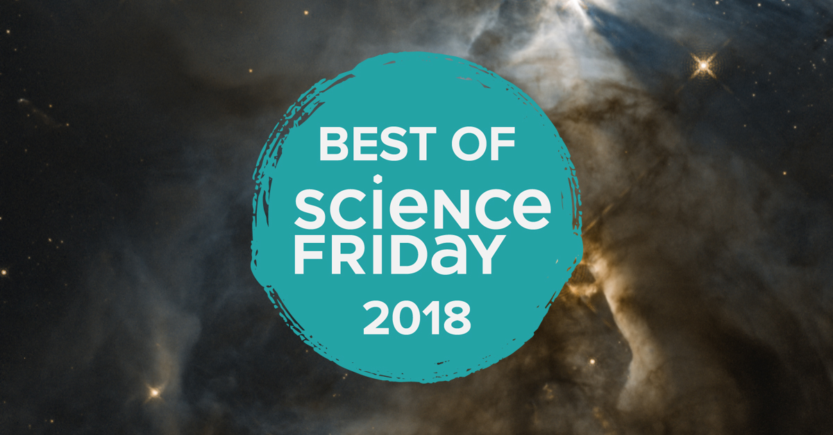 Kid Scientists And Phytosaurs: The Best of SciFri 2018