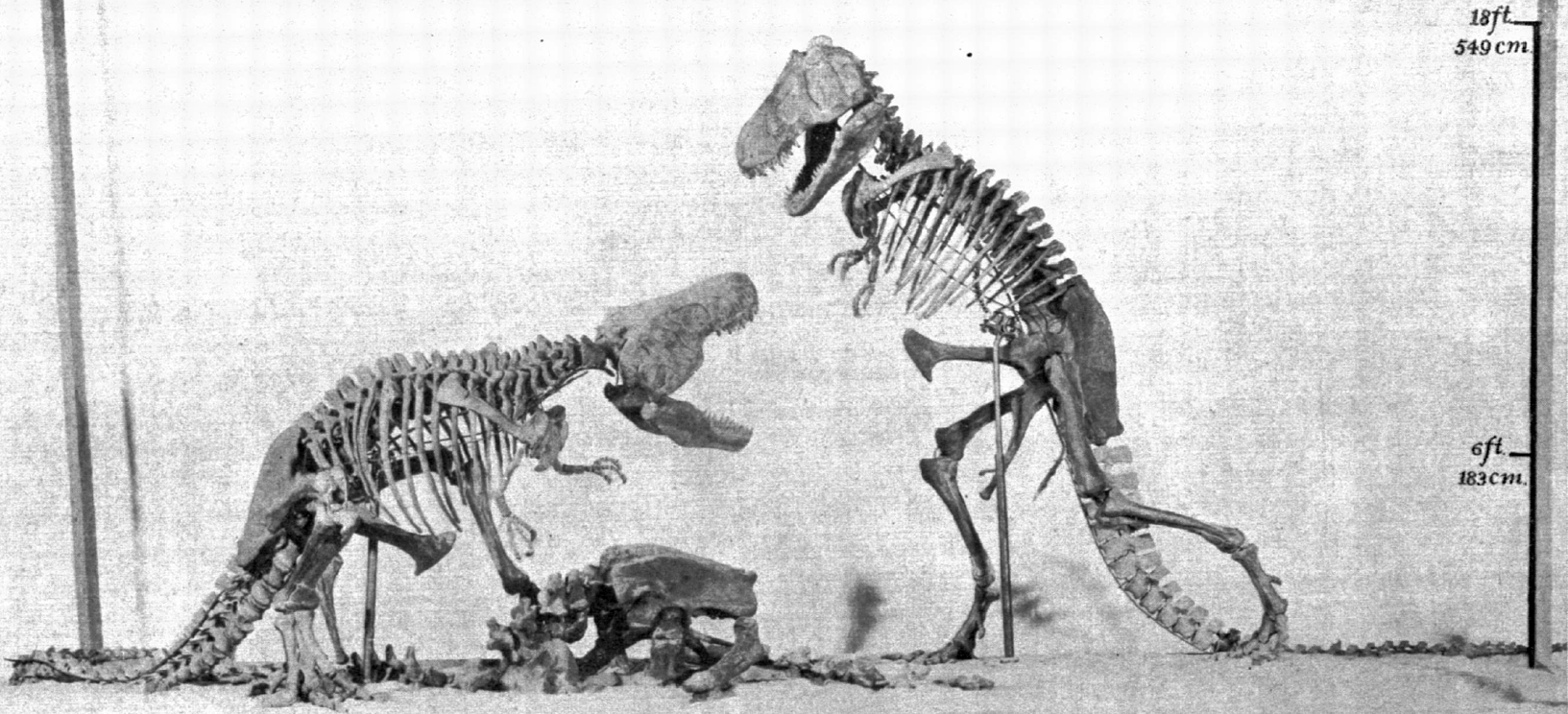 How Do We Know What Dinosaurs Looked Like?