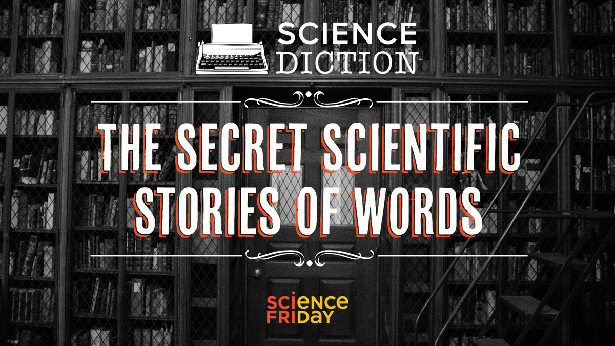 The Origin Of The Word 'Emoji'