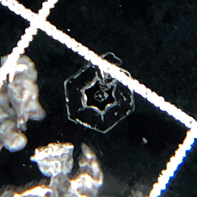 How Climate Change Ruins Snowflakes