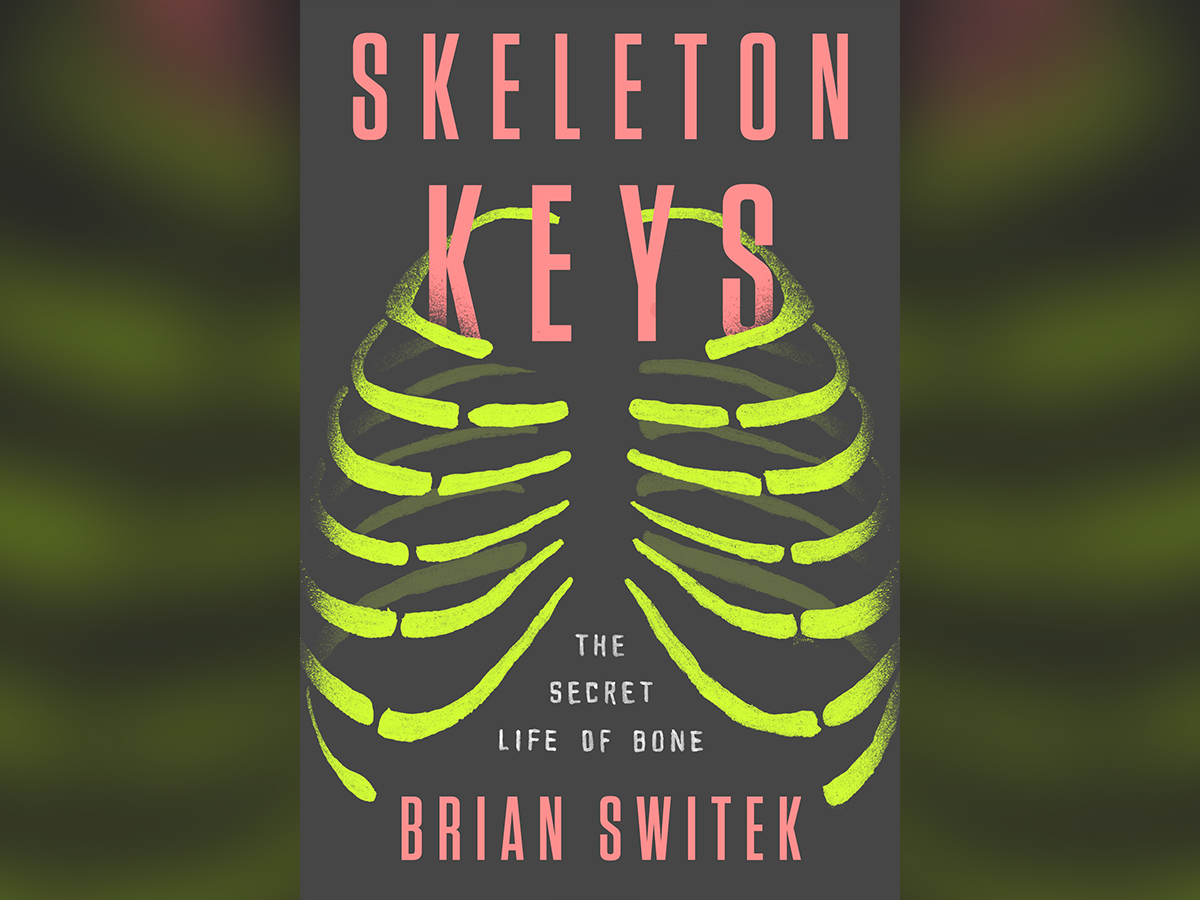 Skeleton Throwing Its Head