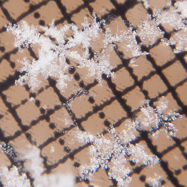 How Climate Change Ruins Snowflakes