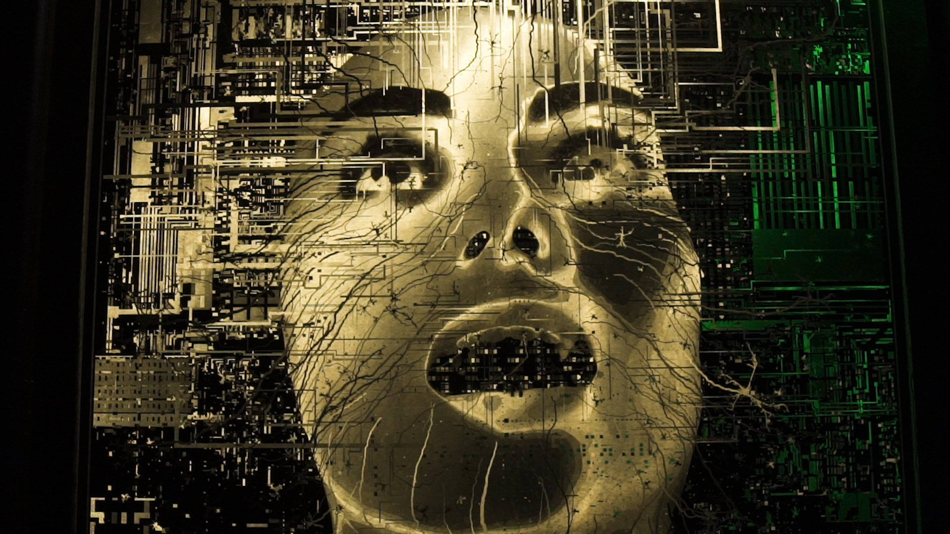 Etched From The Mind To Illuminate Brain Processes