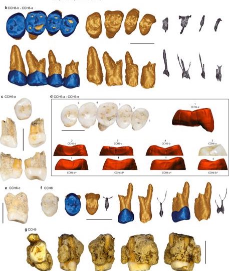 What Makes A New Human Species?