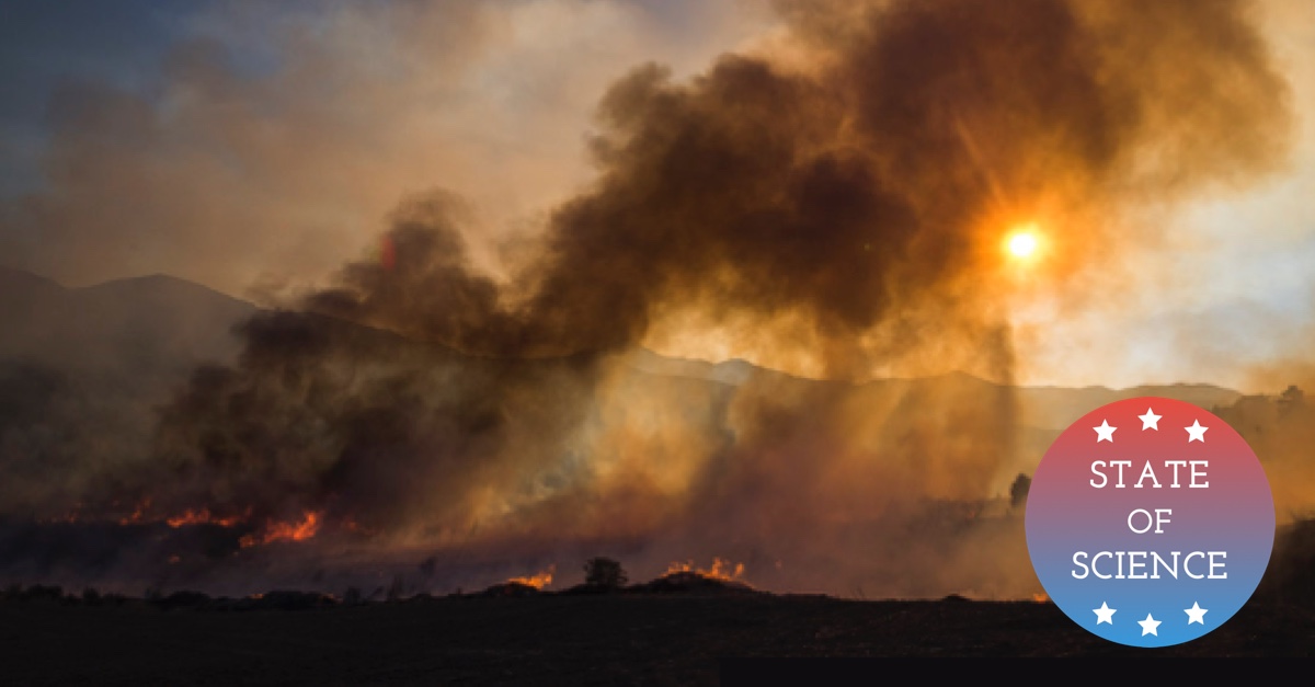 How Much Fuel Does A Green Spring Add To The Wildfire?