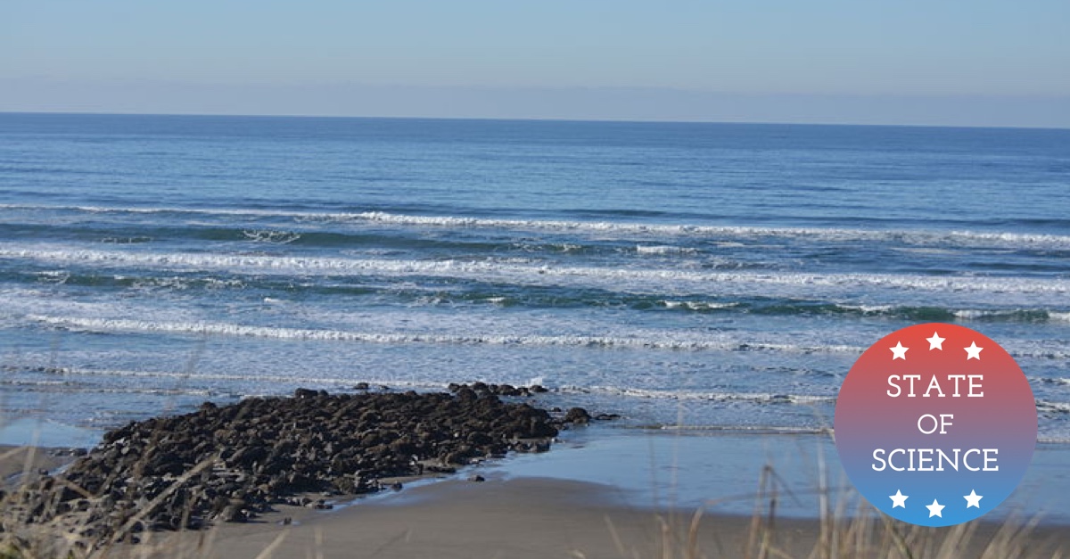 Renewable Energy Makes Waves In Oregon