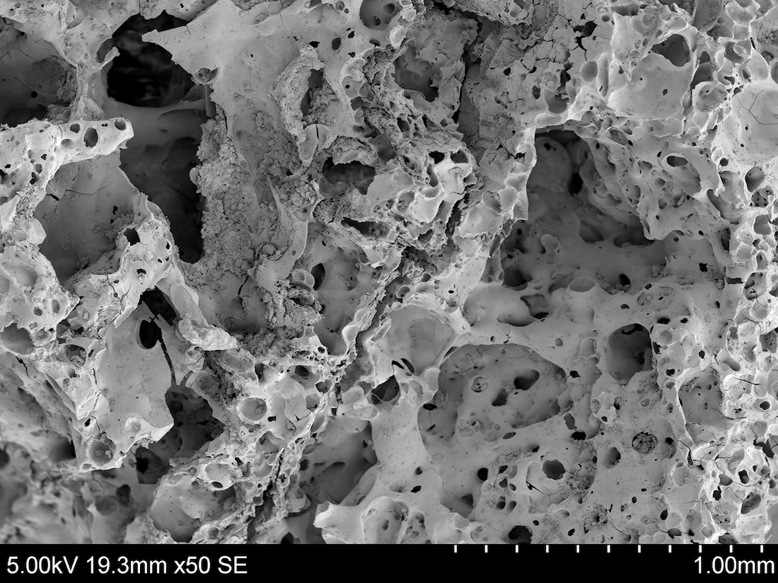 What Did Ancient Civilizations Eat? An Archaeology Lab Experiment