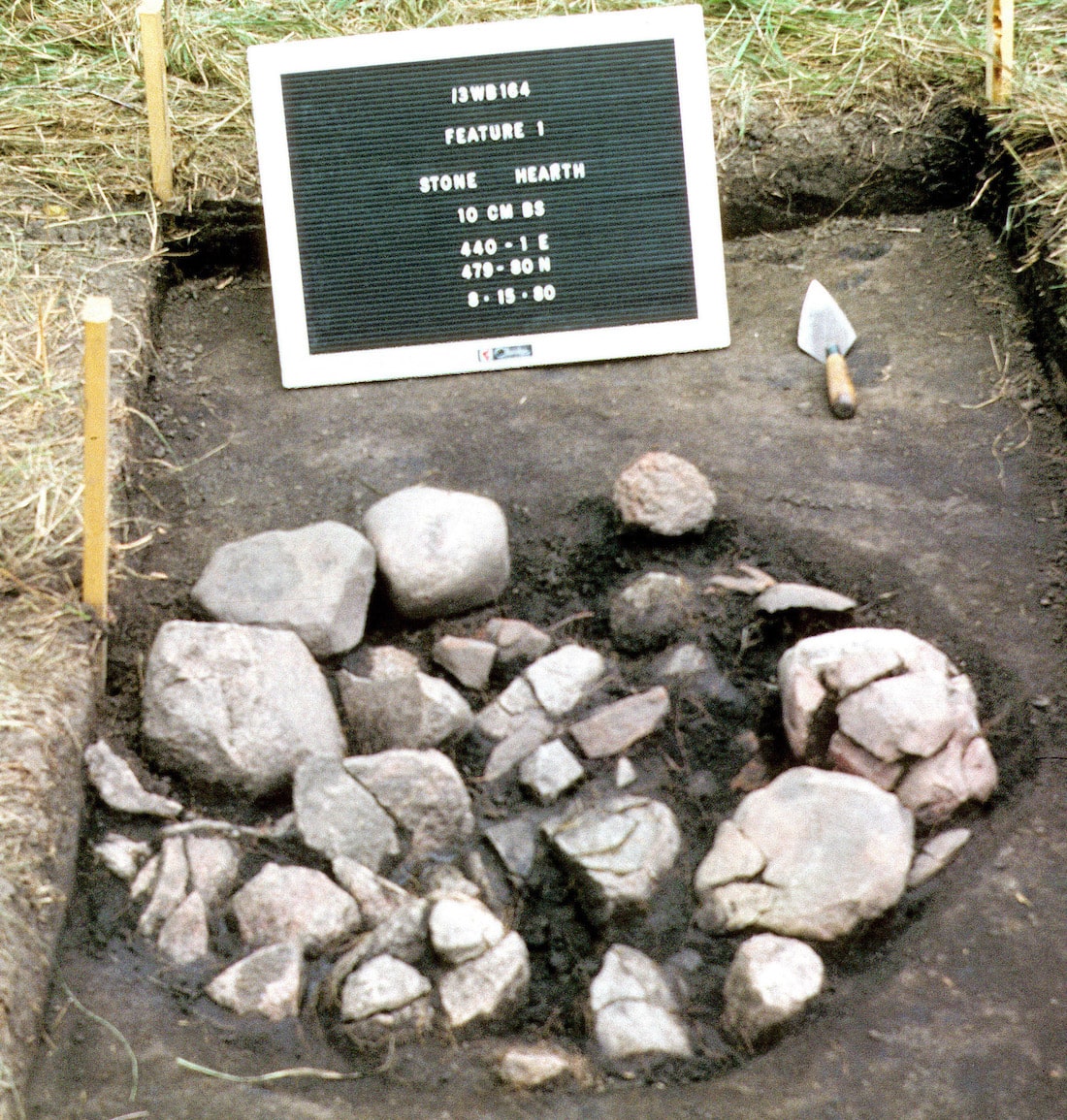 What Did Ancient Civilizations Eat? An Archaeology Lab Experiment