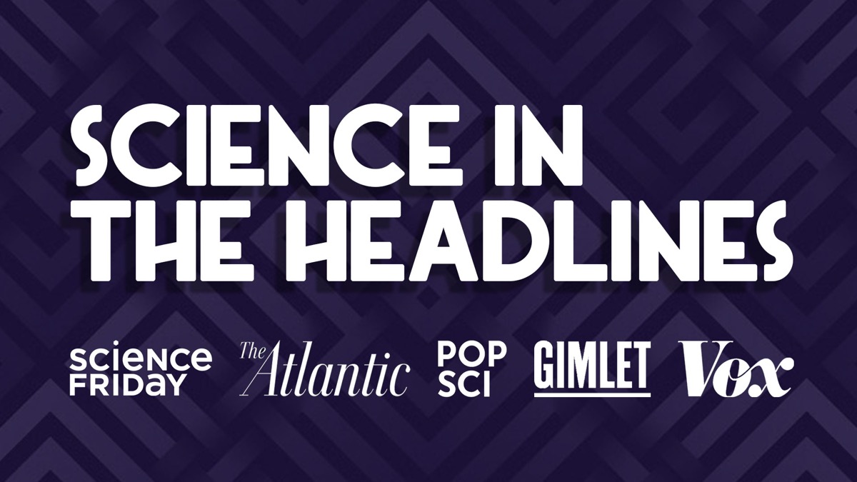 Rounding Up 2019's Discoveries At Science In The Headlines, With SciFri