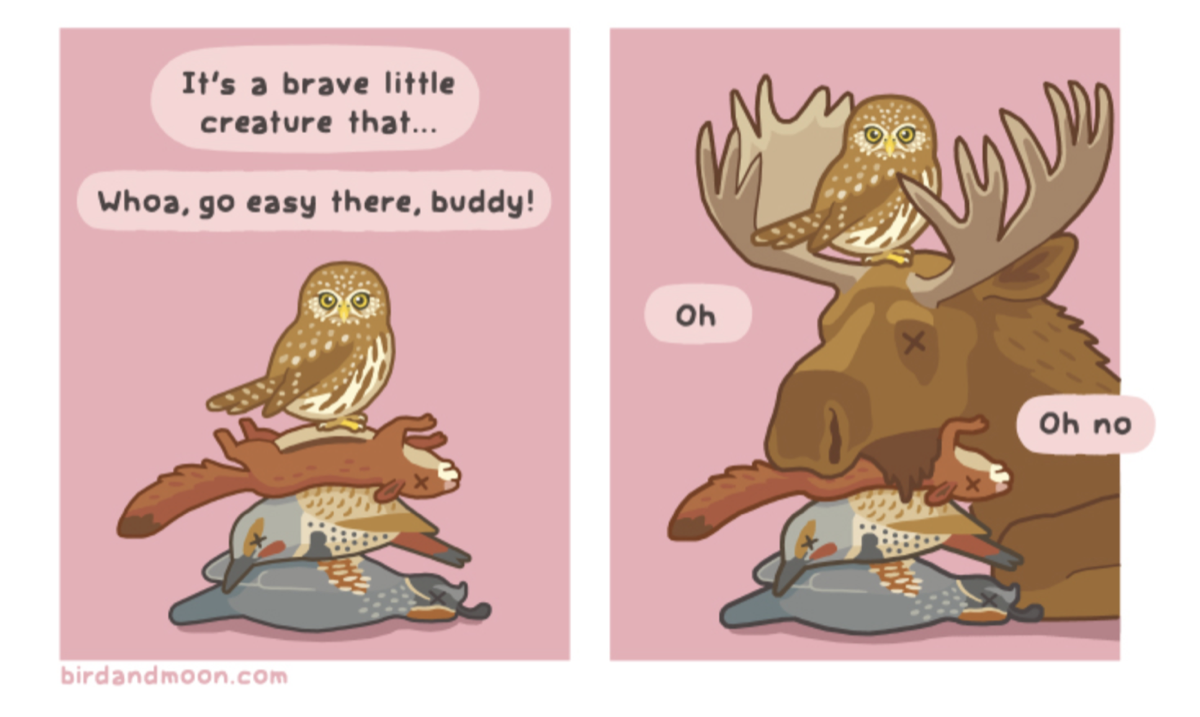 The Delightfully Silly Science Comics Of Rosemary Mosco