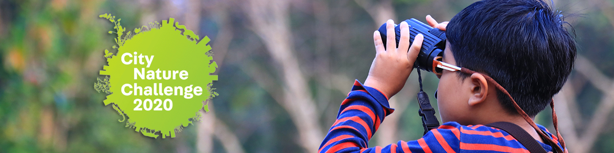 How To Be A Citizen Scientist In A Pandemic