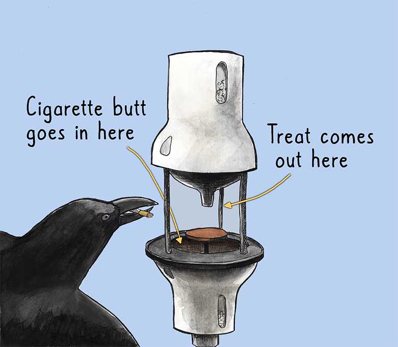 What Puzzle-Solving Crows Can Teach Us About Animal Intelligence