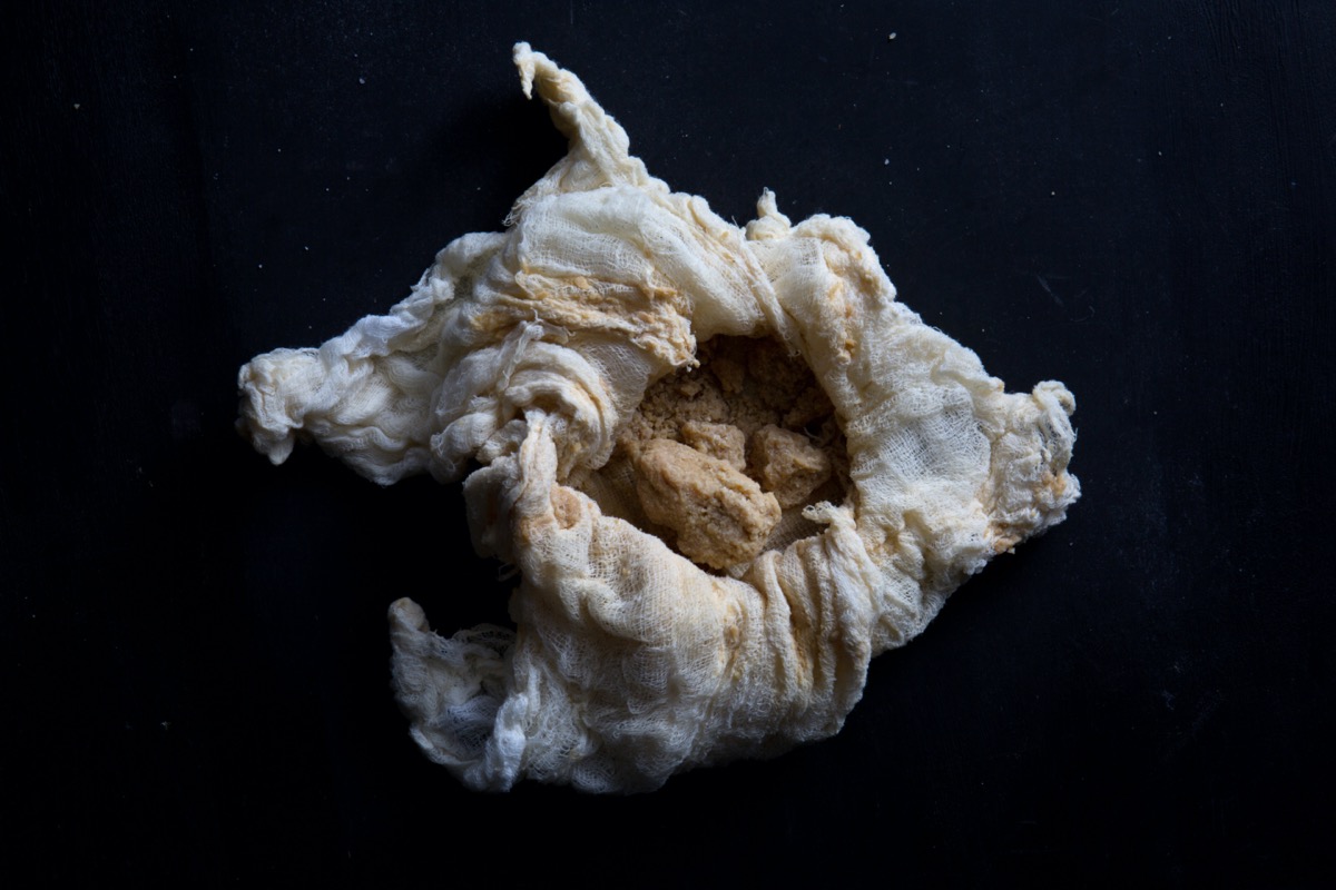 Koji: The Mold You Want In Your Kitchen