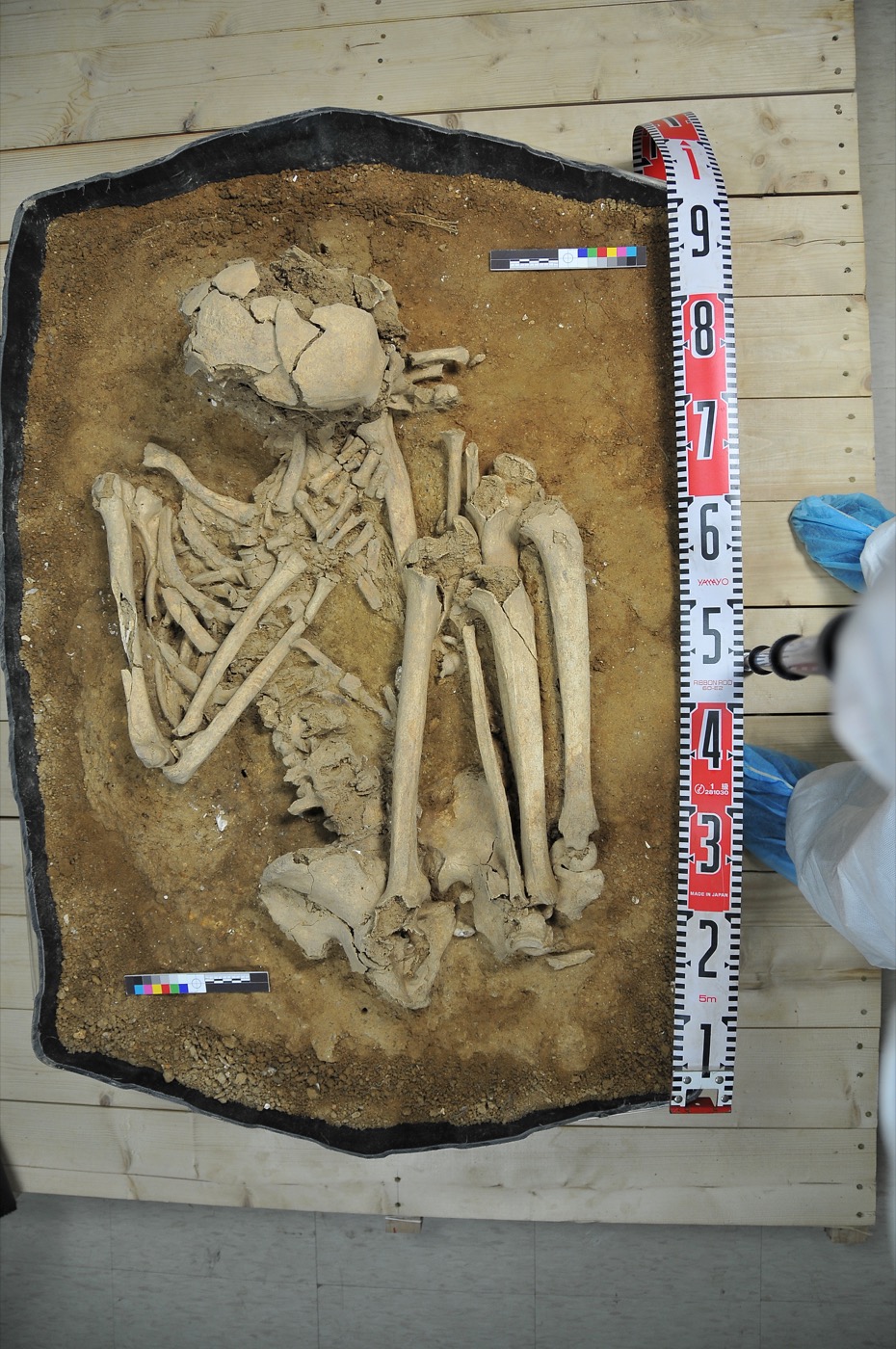 Mapping Migration In Asia Through Ancient Genomes