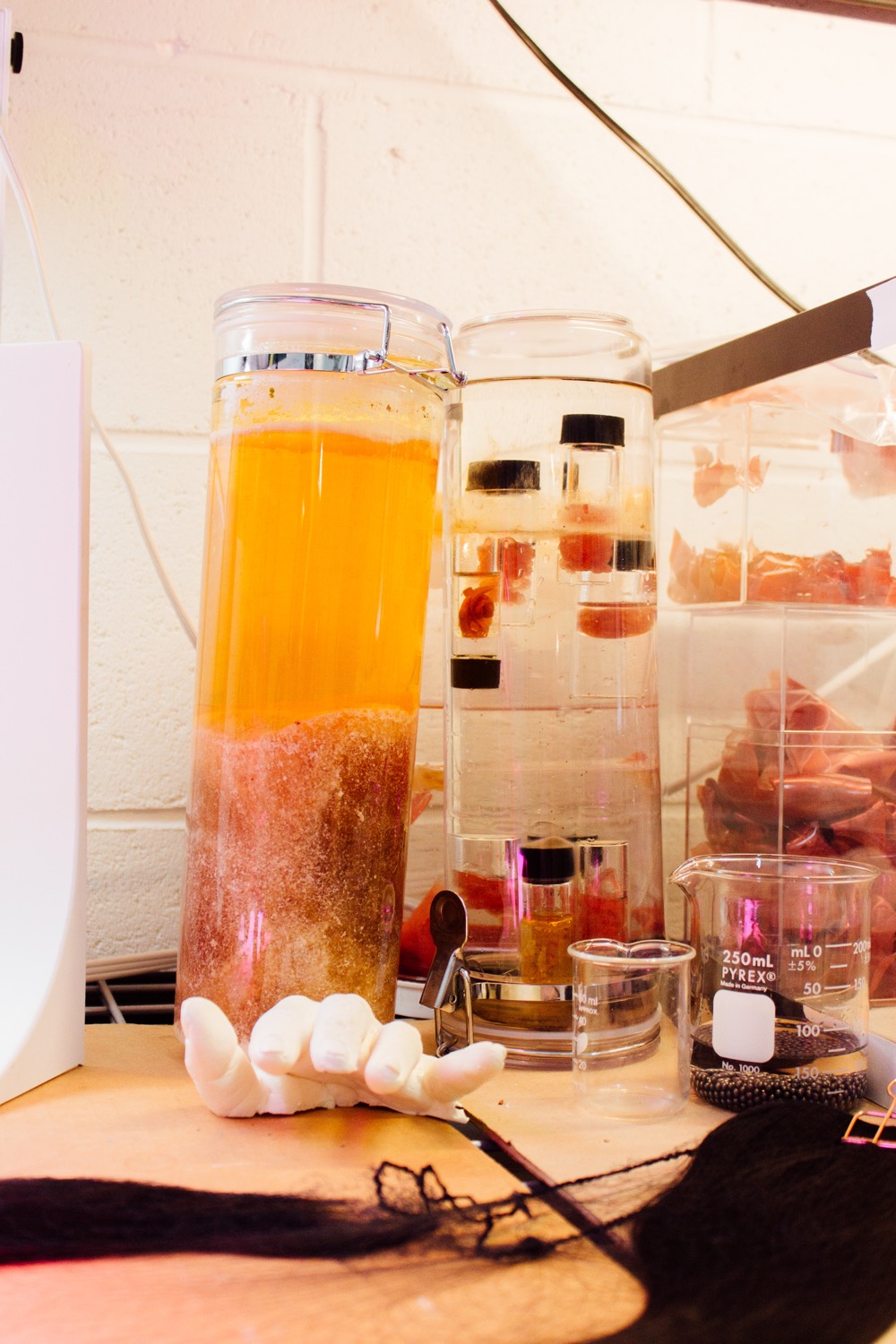This Biotech Artist Wants Scientists To Think About Their Creations
