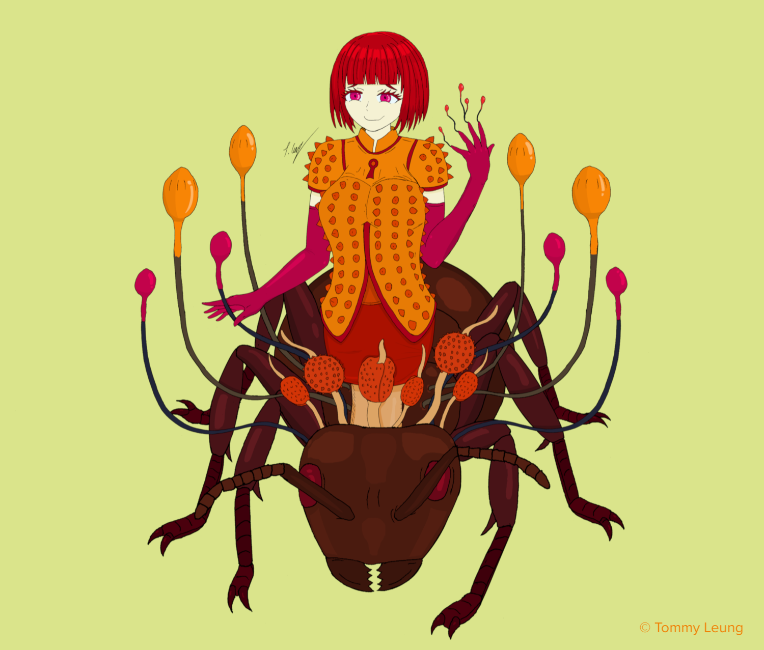 Myrmeconema Neotropicum