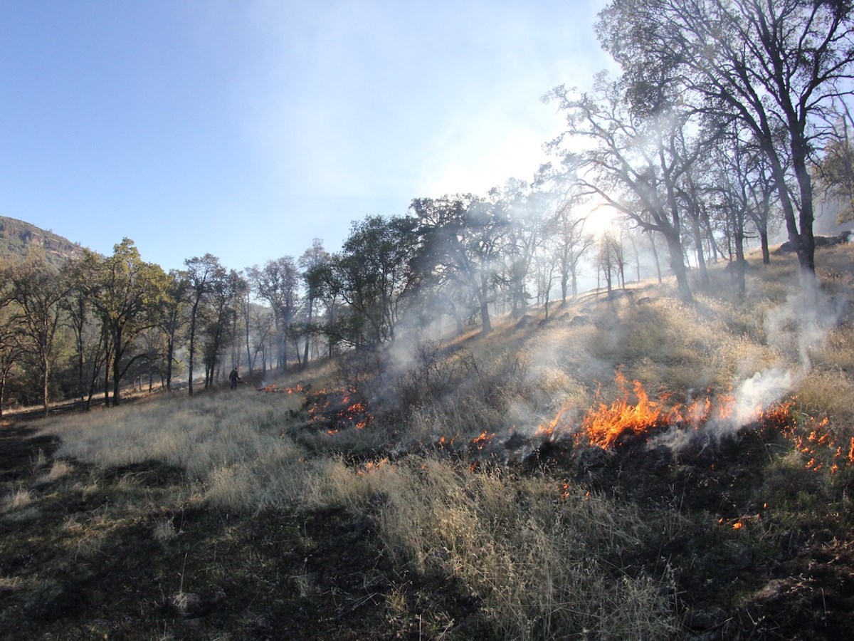 How Indigenous Burning Practices Could Prevent Massive Wildfires