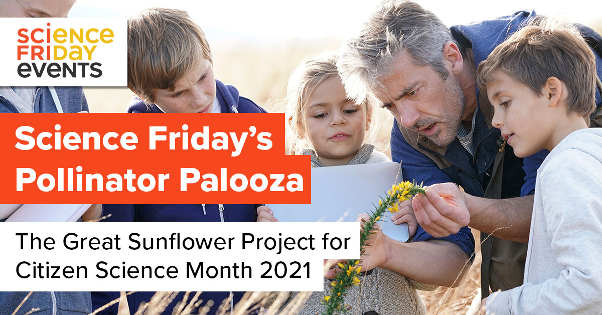 A Pollinator Palooza Adventure: The Great Sunflower Project