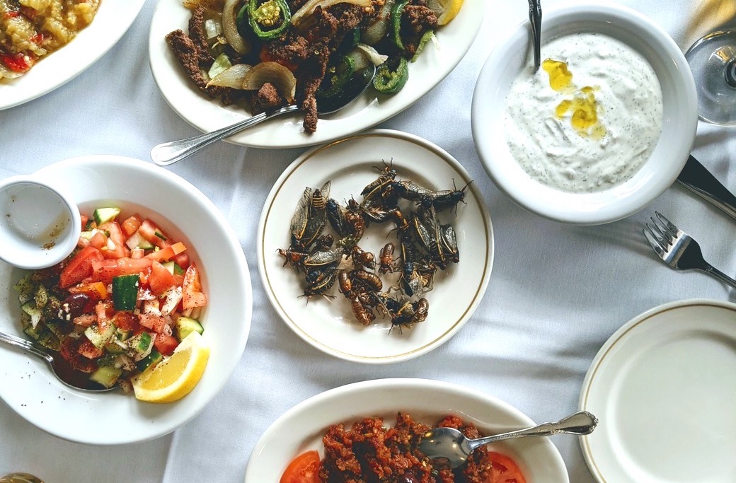 How To Take A Bite Of The Brood X Cicada Swarm