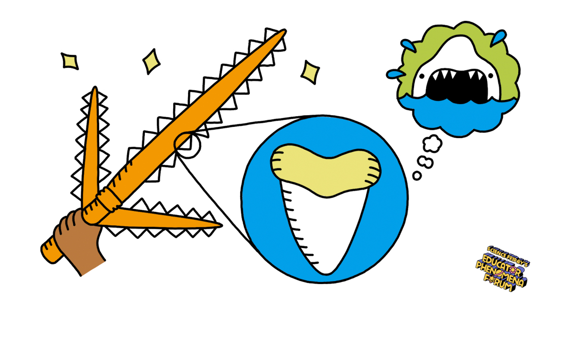 What Can Hawaiian Shark-Toothed Weapons Tell Us About Sharks? - Science ...