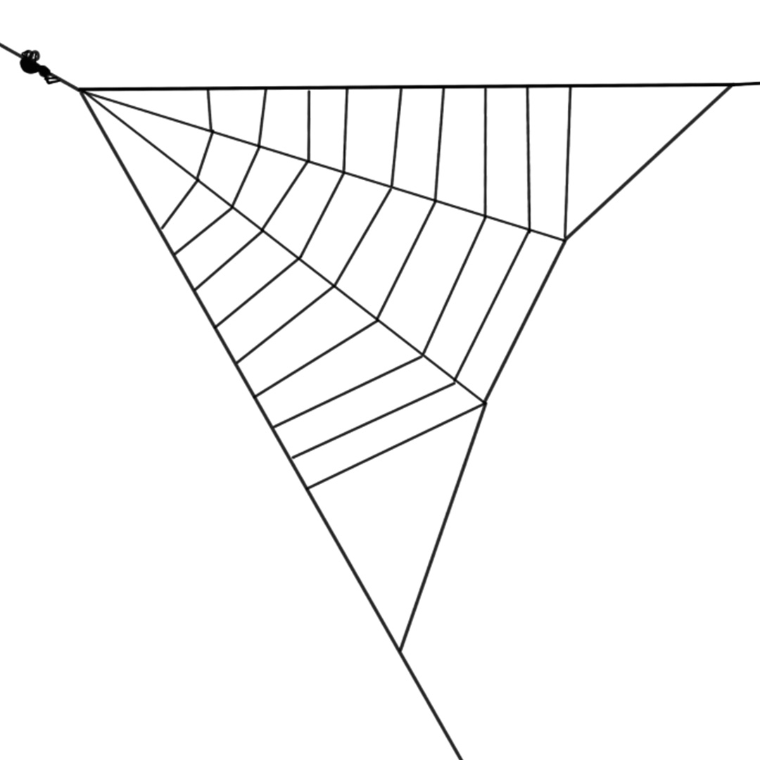 Spider Webs: A Tangled Spring Of Force And Energy