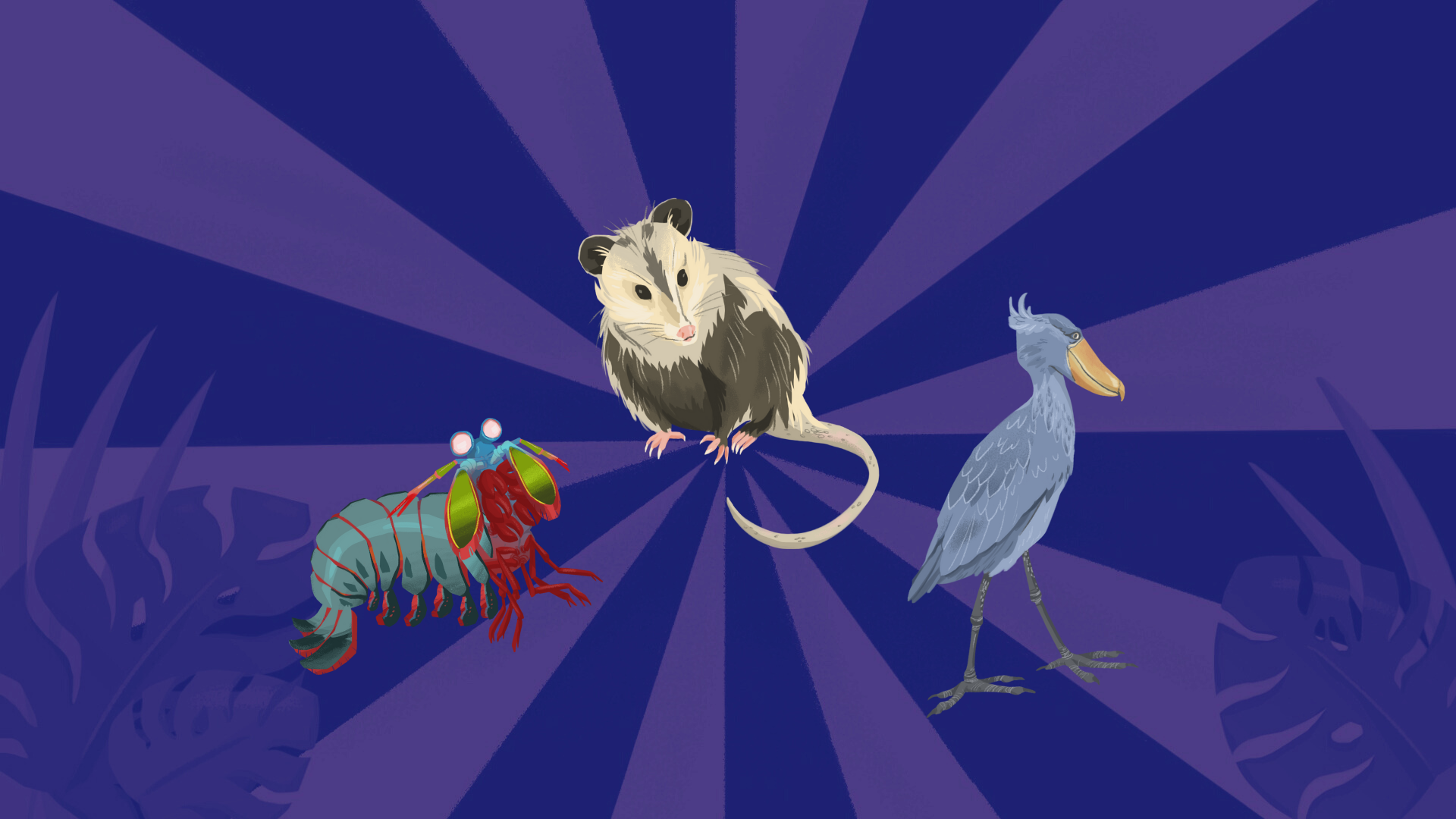 Who Will Sweep The Charismatic Creature Carnival?