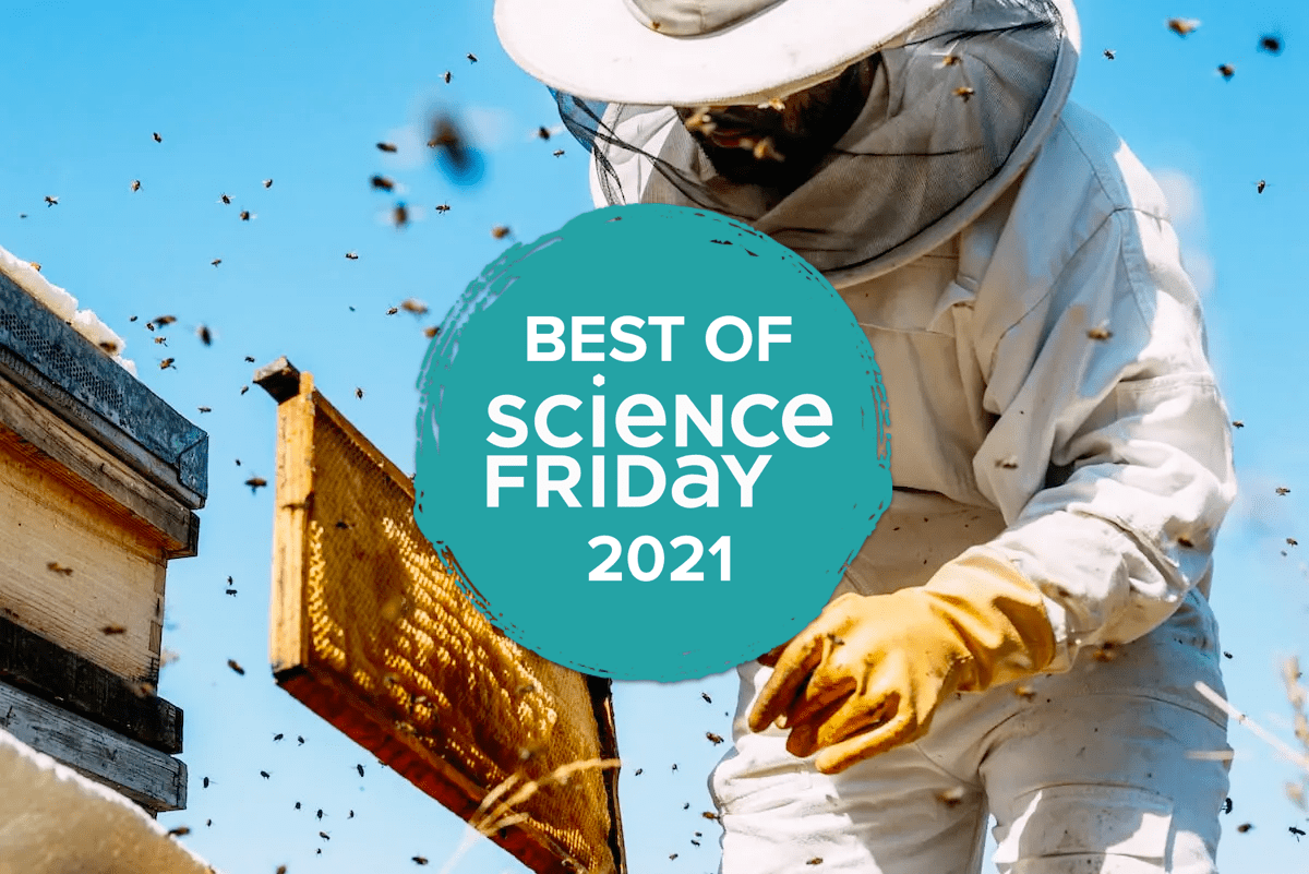 The Best Of Science Friday, 2021