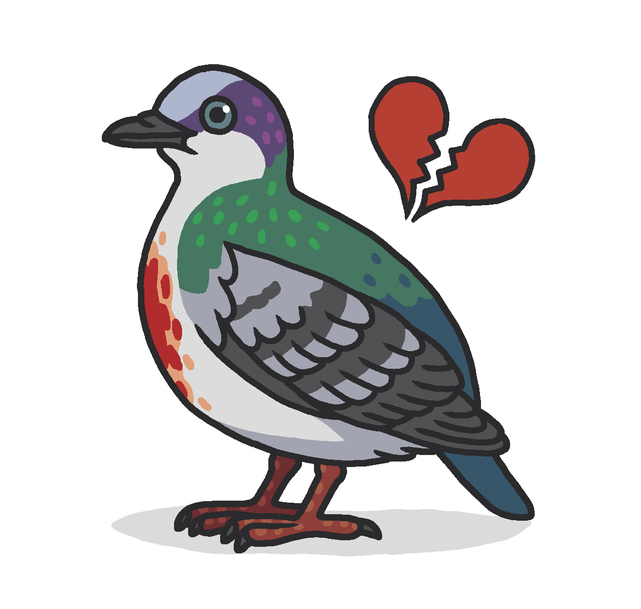 Pigeons Are More Than Rats With Wings