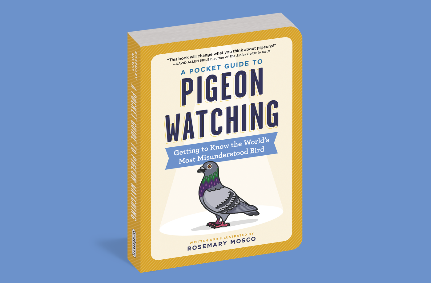 Extraordinary Pigeons