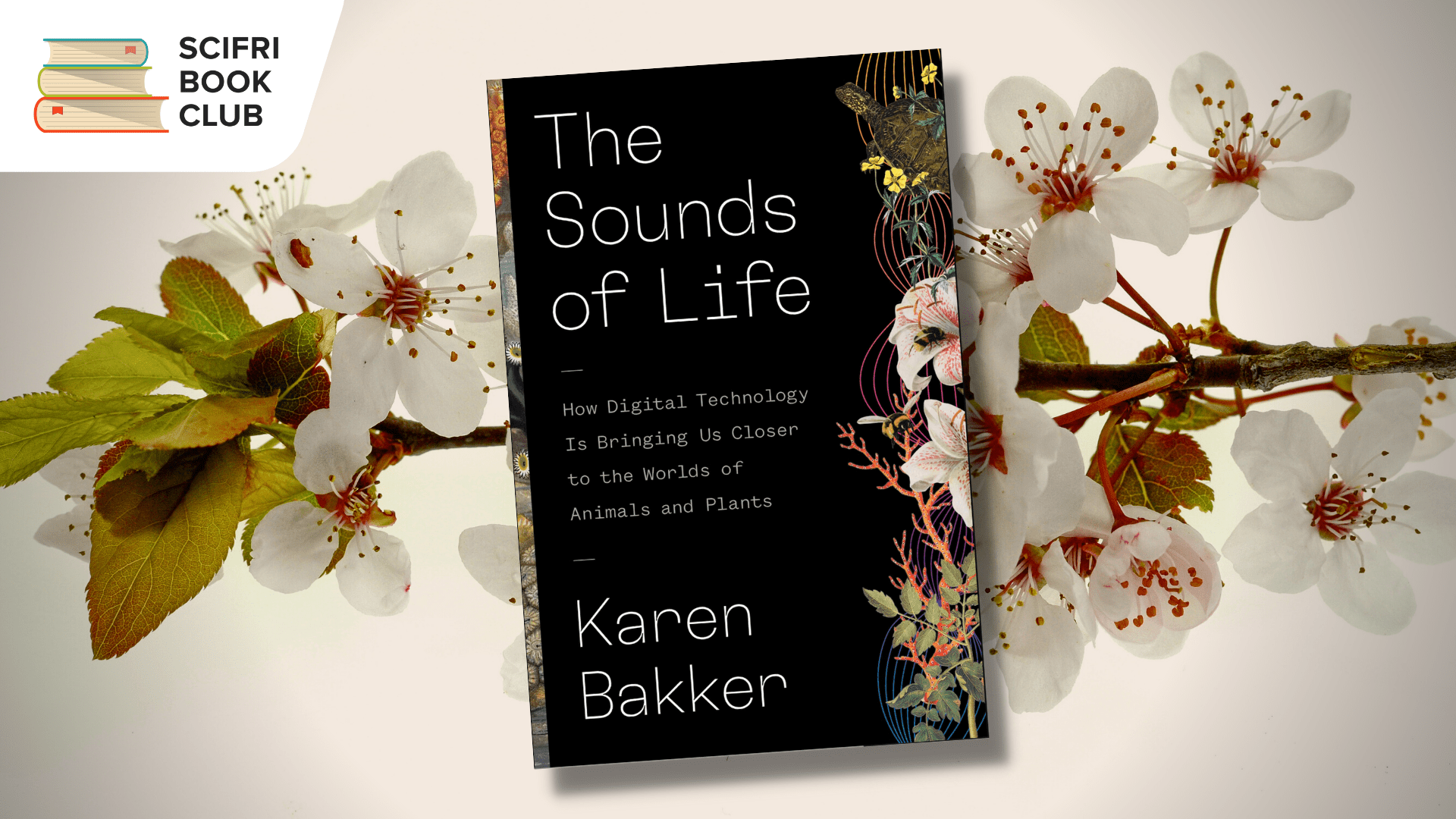 Read ‘The Sounds Of Life’ With The SciFri Book Club