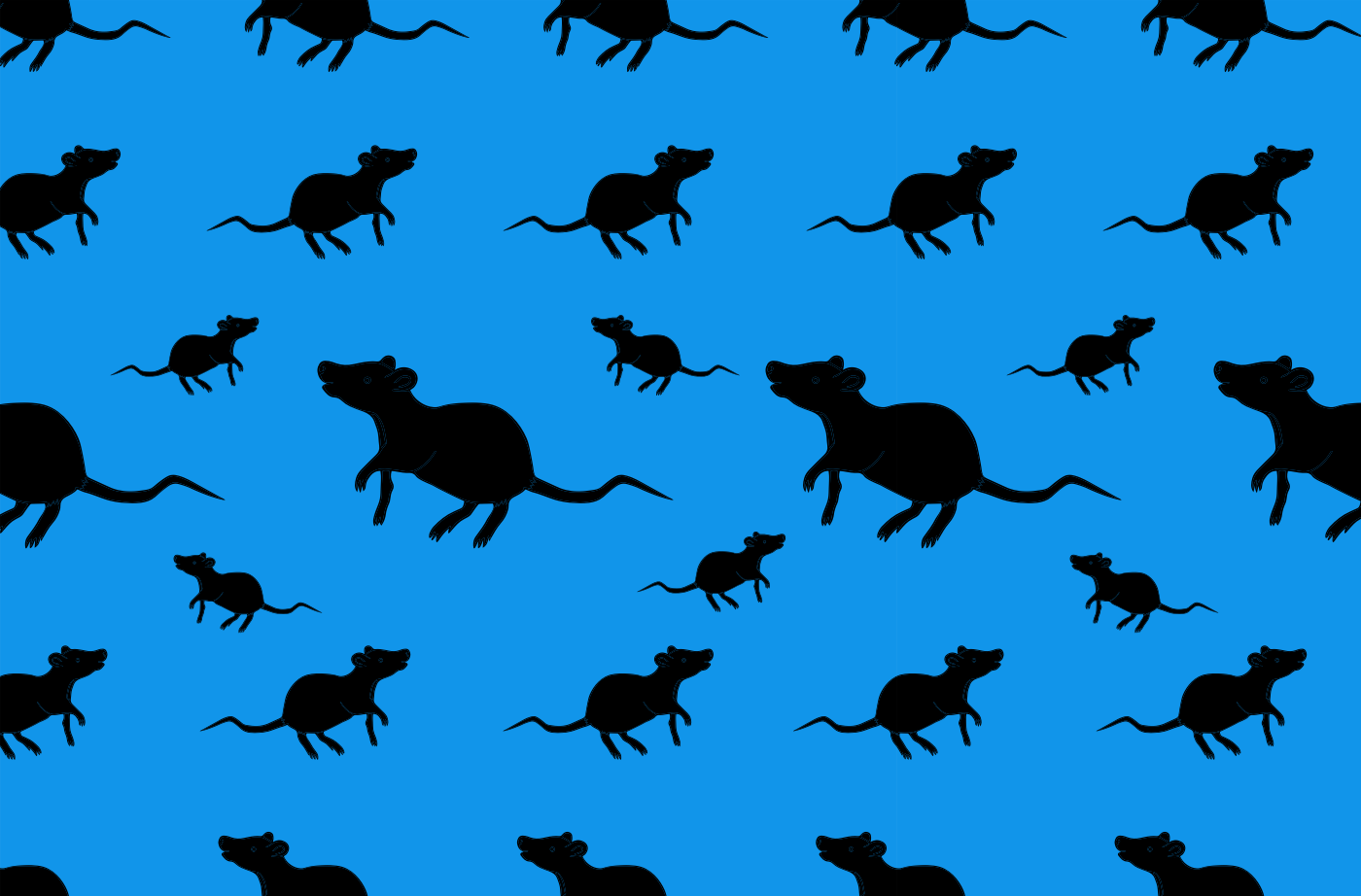 Scientists Are Trying To Study Human Neurons… In Rat Brains?