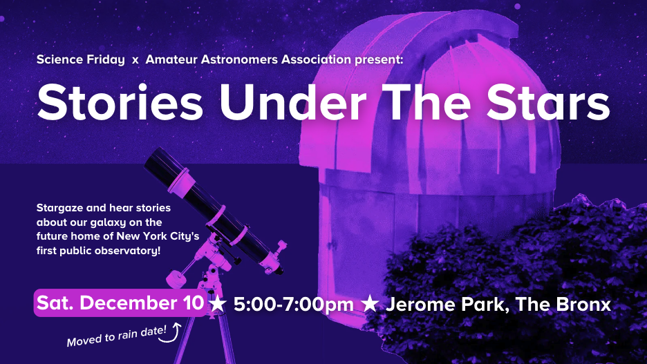 Stars: They're Just Like Us! Stargazing Celebration In The Bronx