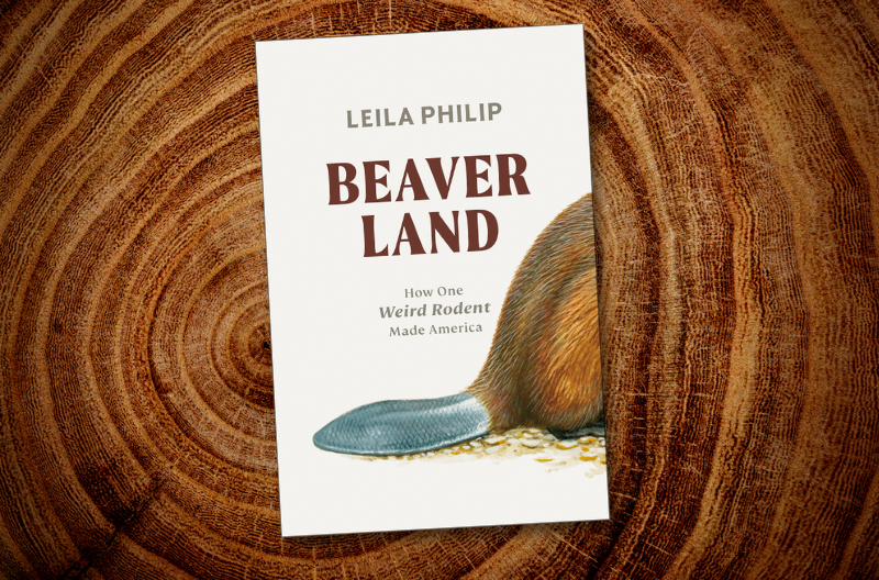 Honoring The Deep Weirdness That Is The Beaver