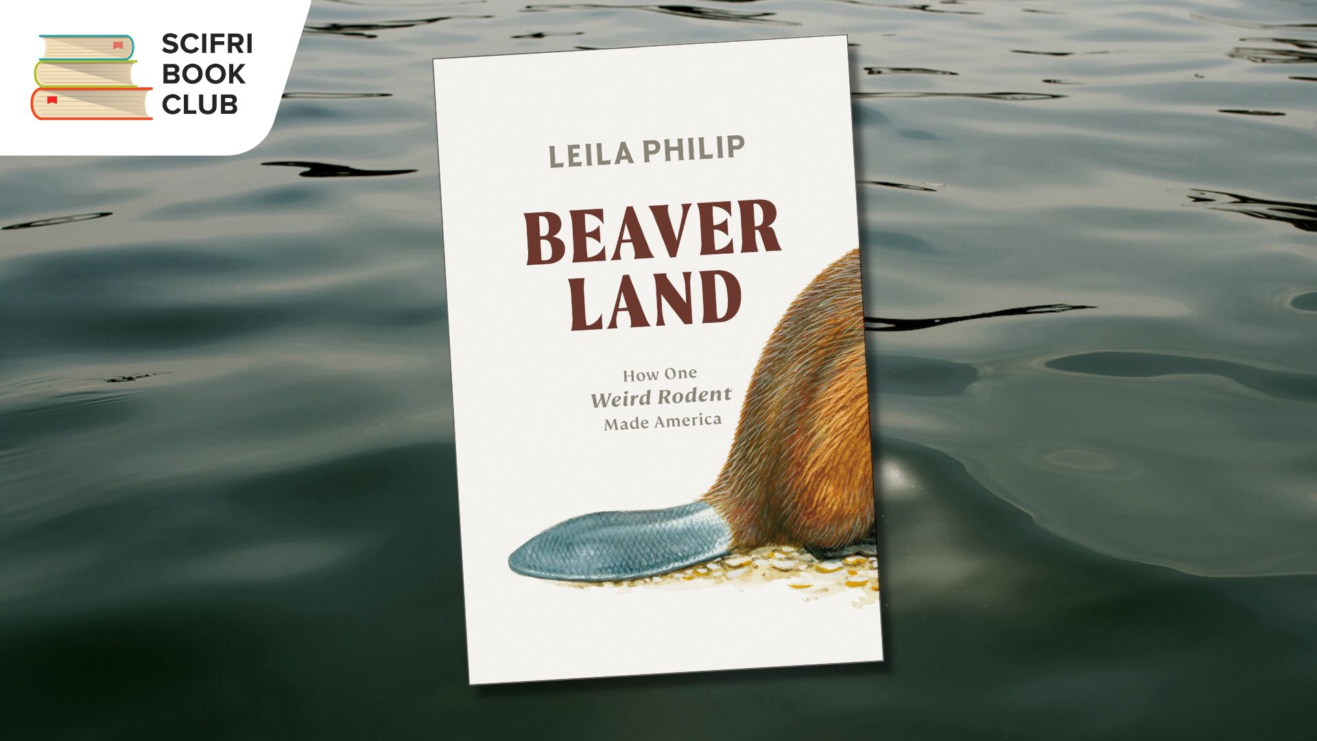 Read 'Beaverland' By Leila Philip With The SciFri Book Club