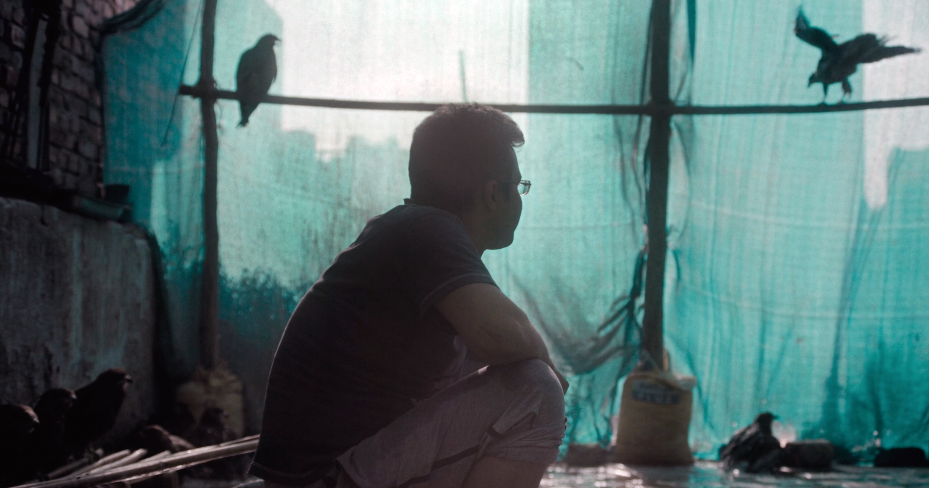 ‘All That Breathes:’ A Story Of Two Brothers Saving New Delhi’s Raptors ...