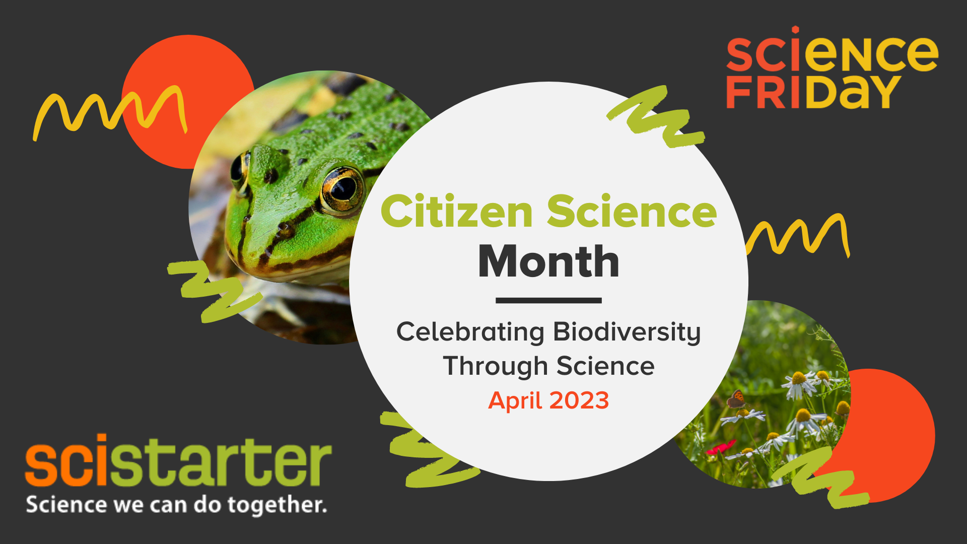 Celebrate Biodiversity for Citizen Science Month - Science Friday