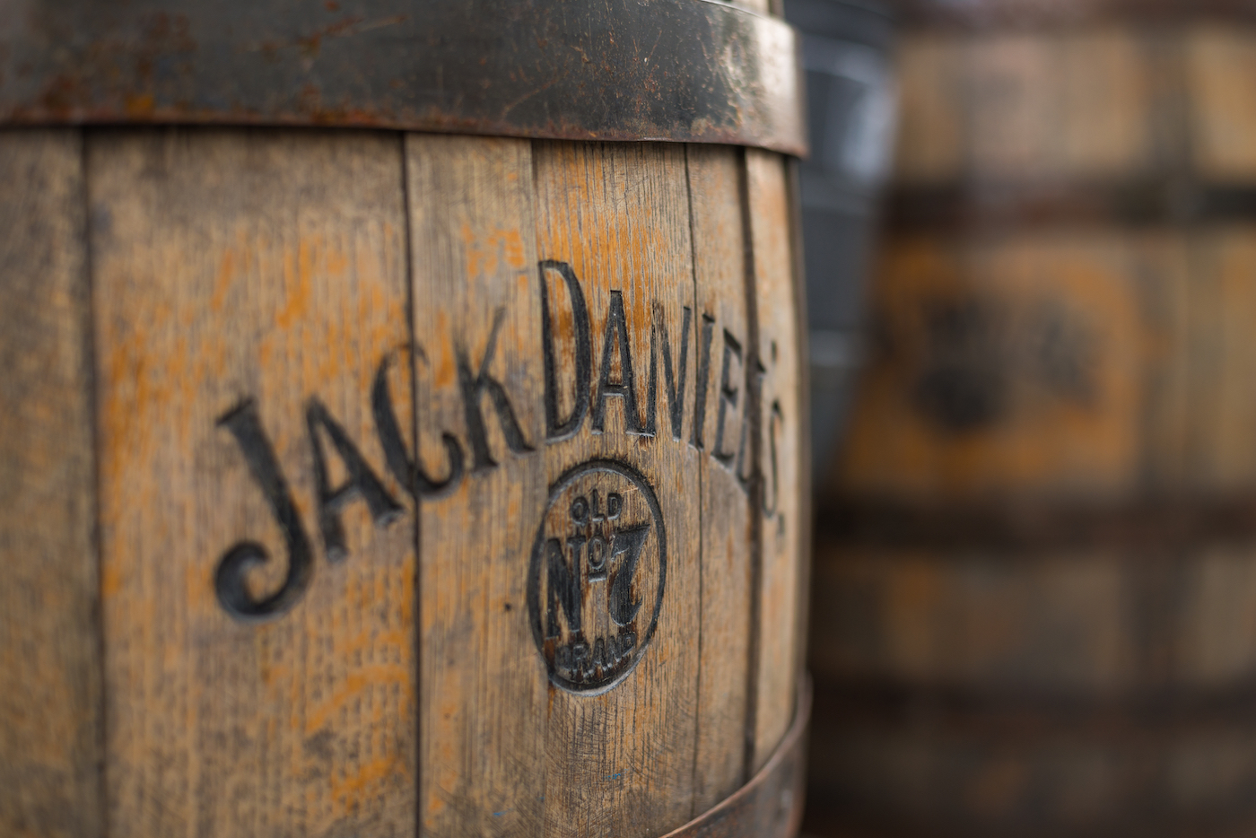 Whiskey Fungus Smothers Town In Tennessee