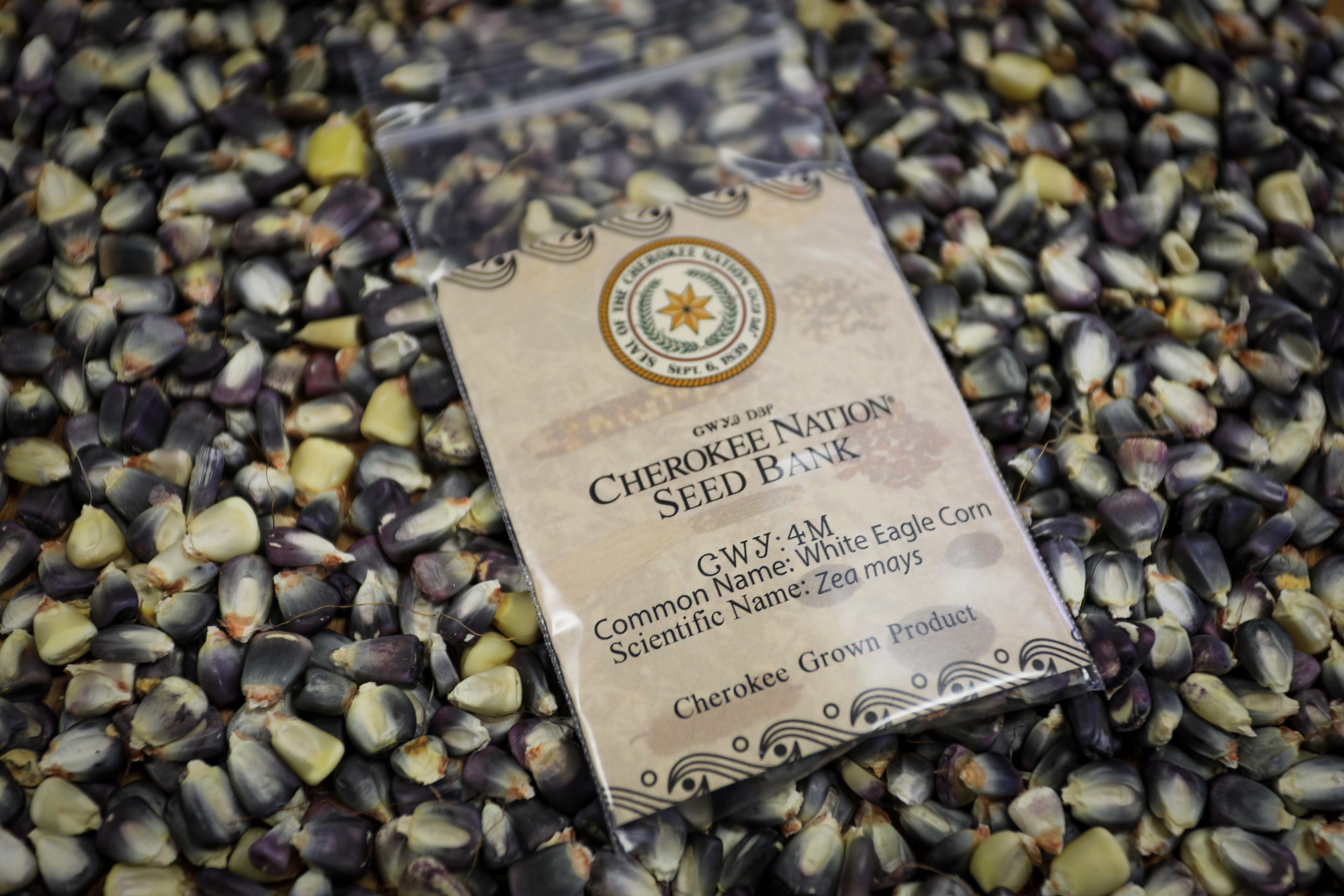 How The Cherokee Nation Is Saving Culturally Significant Seeds