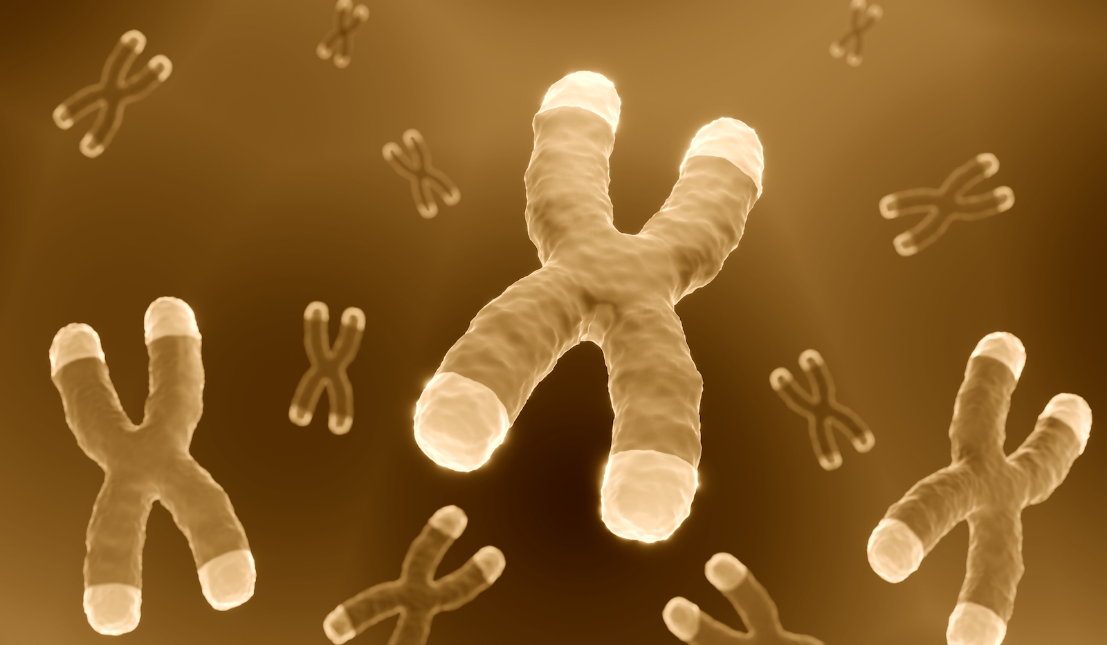 Scientists Find New Protein Activity In Telomeres