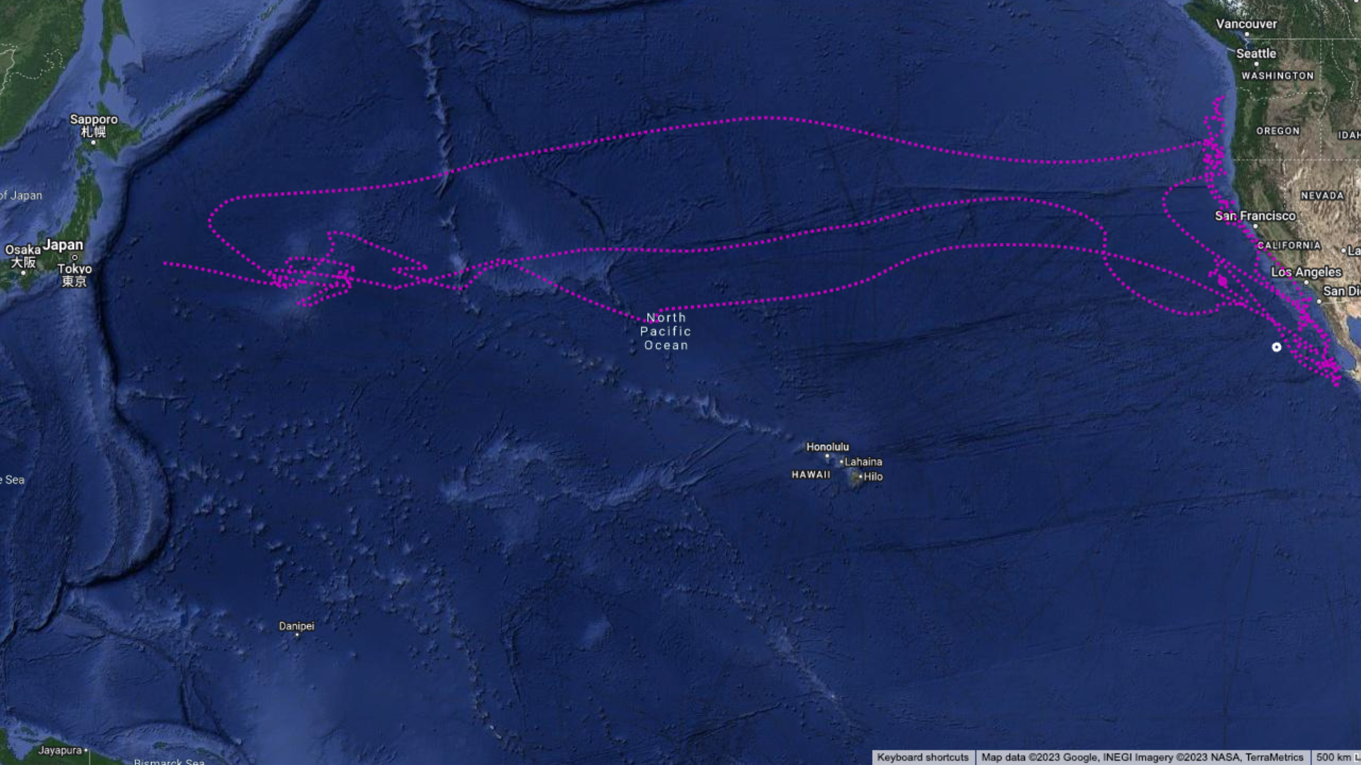 Tracking Tuna: How Do Behavior And Environment Interact?