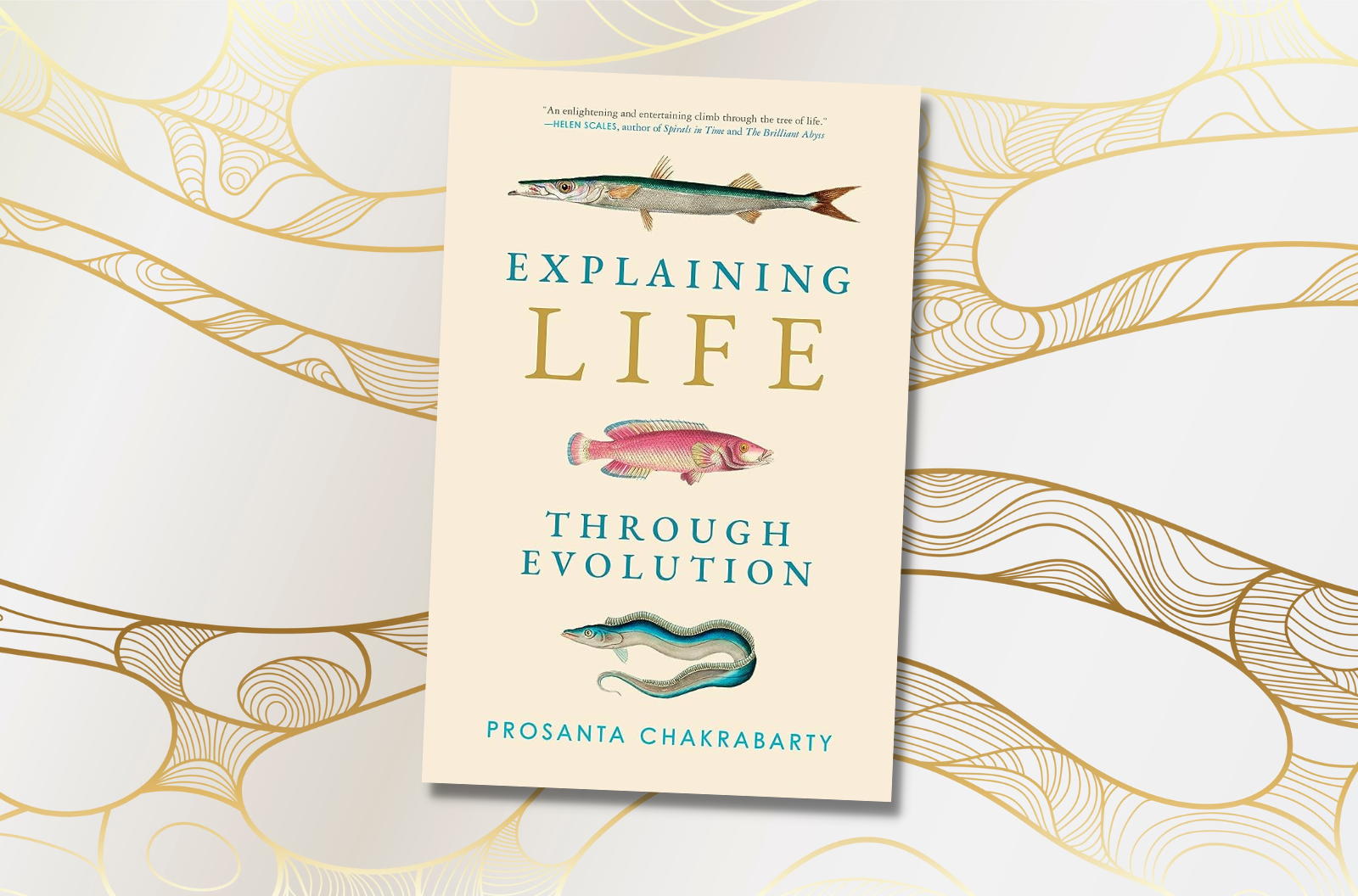 Explaining Life Through Evolution: The Roots Of Our 'Tree Of Life'